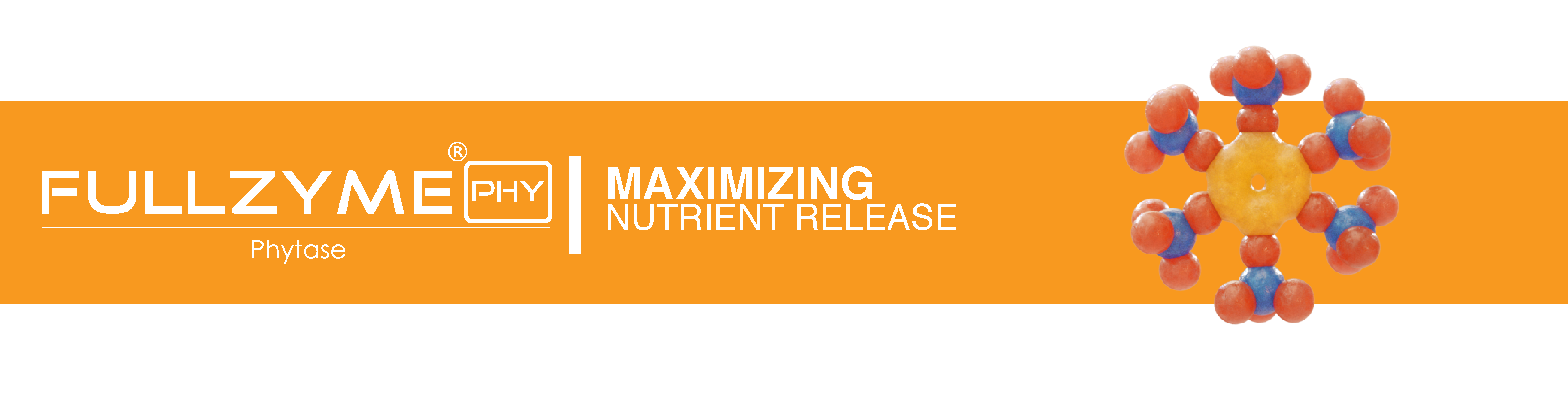 Biofeed Technology - Health & Nutrition Solutions